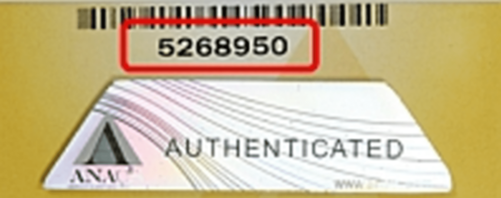 Home - ANACS